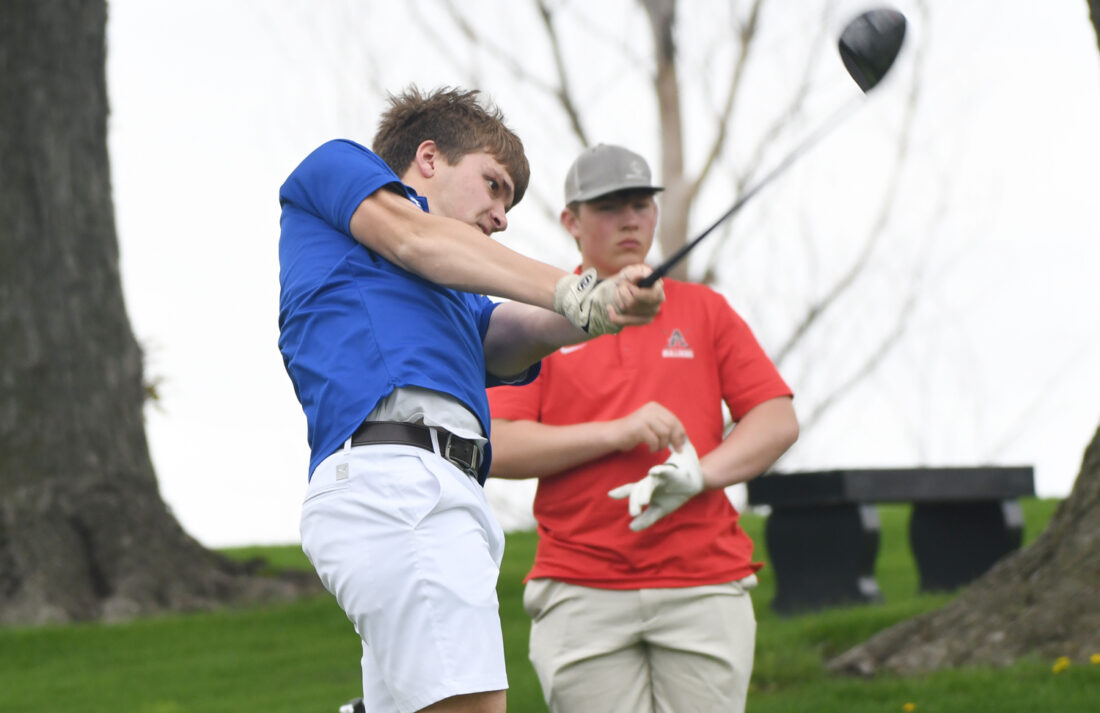 CAT POWER | News, Sports, Jobs - Messenger News